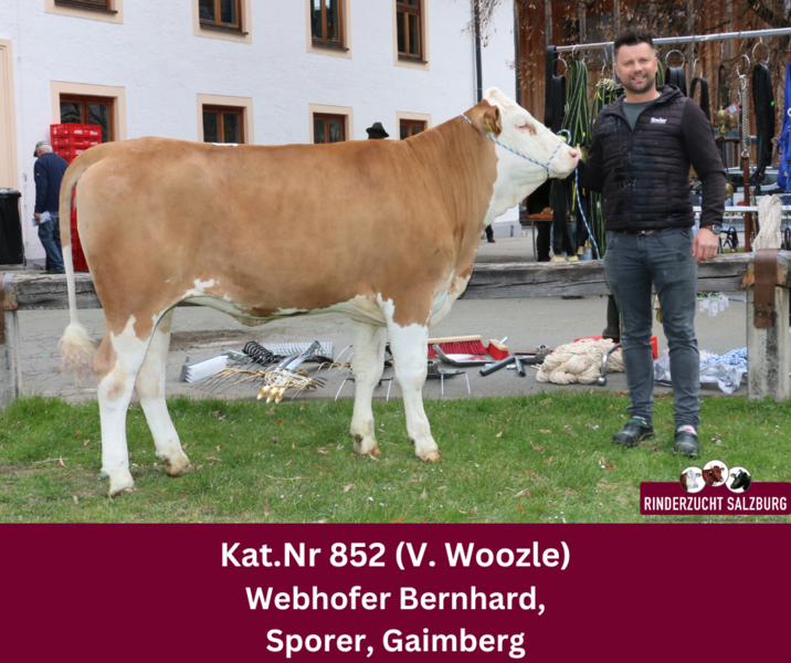 Marktberichte Versteigerung - Rinderzuchtverband Salzburg