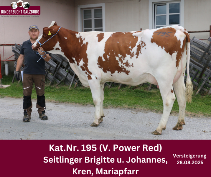 Marktberichte Versteigerung - Rinderzuchtverband Salzburg